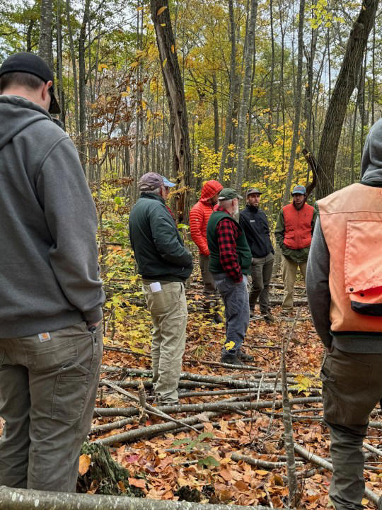 Forest in CT to lead climate-smart forestry in New England