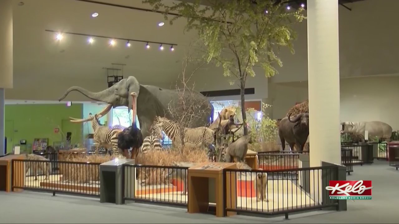 A look back at decisions for the Brockhouse Collection