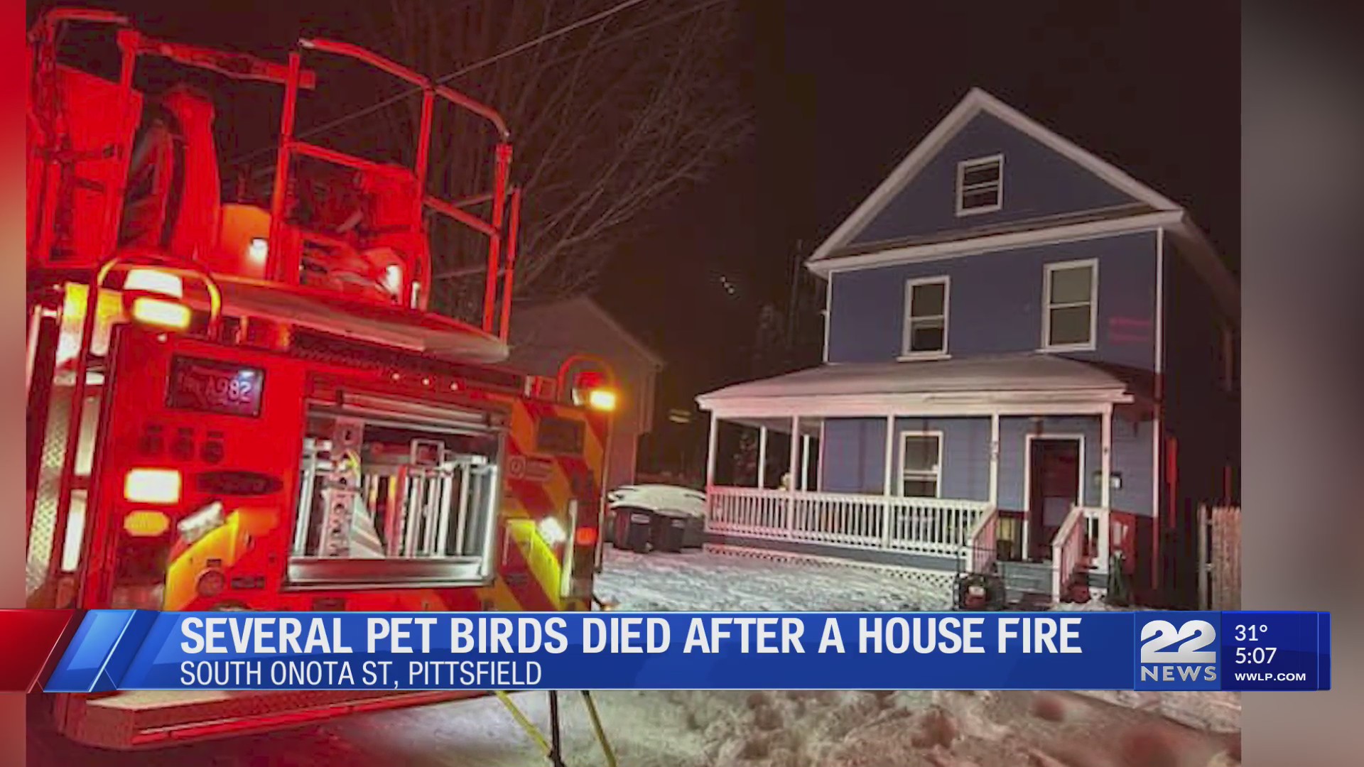 Several pet birds died in Pittsfield house fire