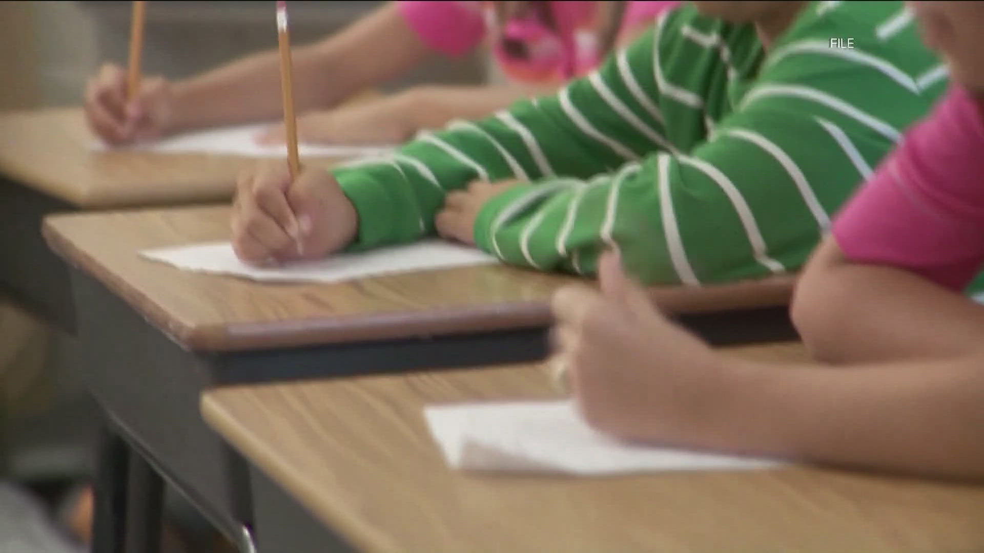 Georgia Promise Scholarship application