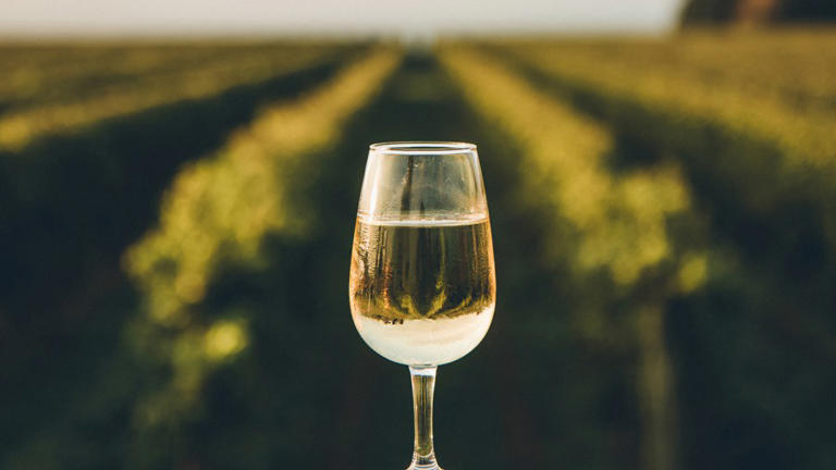 Lubbock Wino Fest set for late March, limited spots left