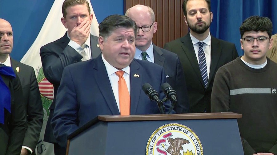 Illinois law aims to protect domestic violence survivors from gun violence