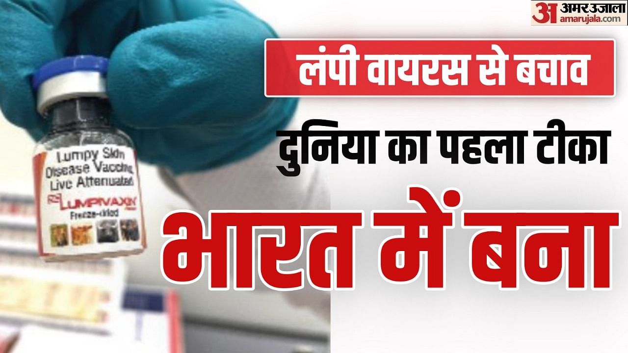 Lumpy Virus: अब बचा सकेंगे मवेशियों की जान, भारत बायोटेक के टीके को ...