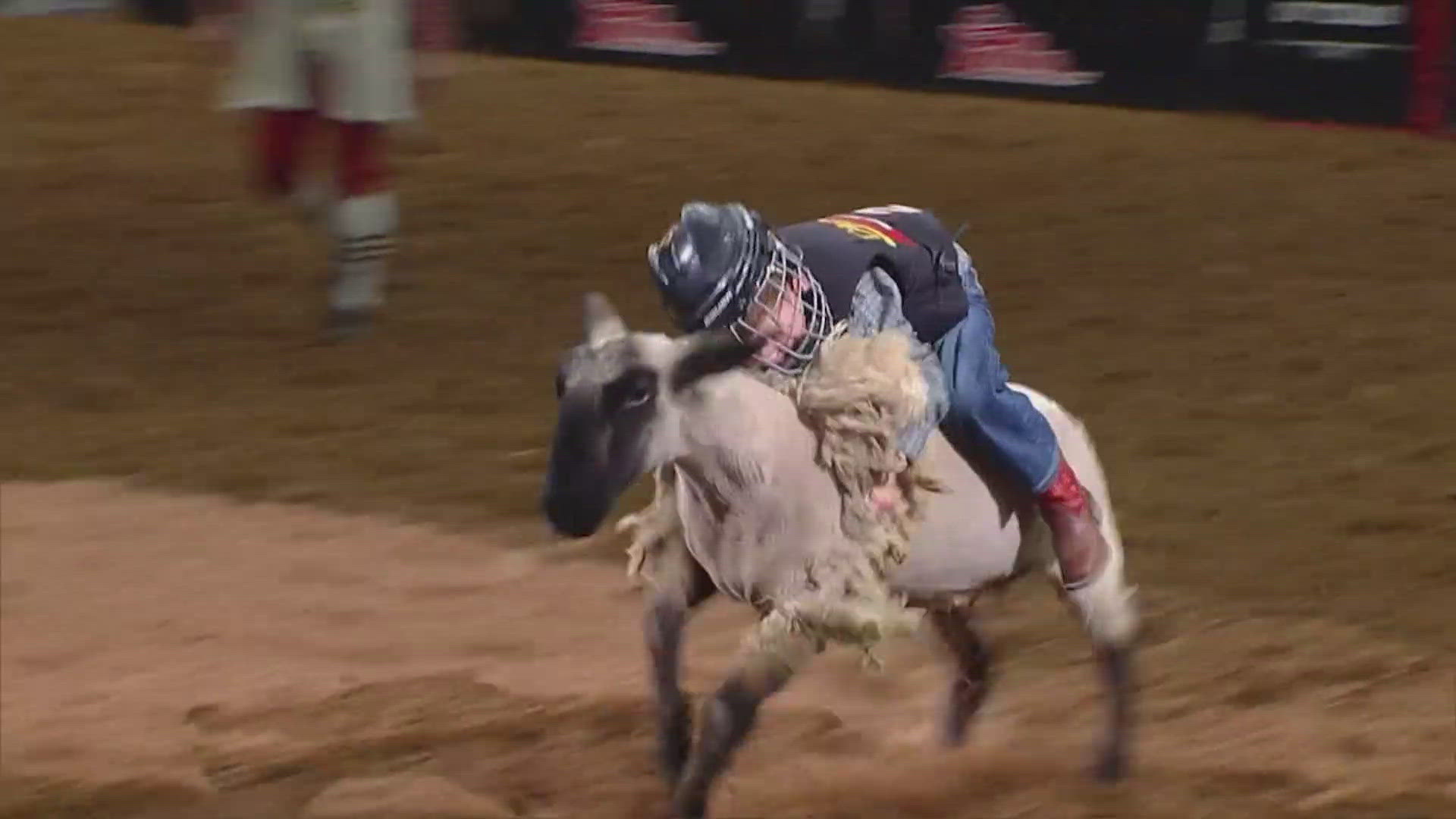 5-year-old from Adkins is Monday night's mutton bustin' champ at San ...