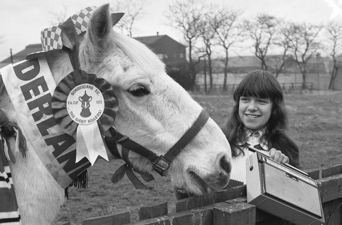 11 times we got your Wearside dogs on camera in costumes as we ...