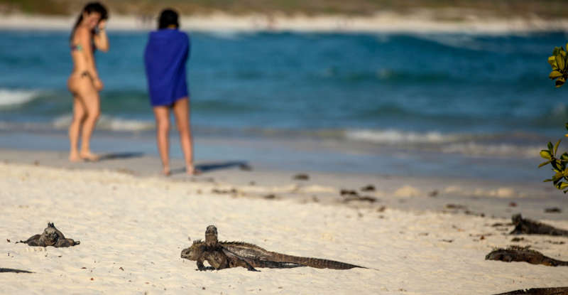 Maravillas naturales en riesgo: el impacto del turismo masivo Maravillas naturales en riesgo: el impacto del turismo masivo