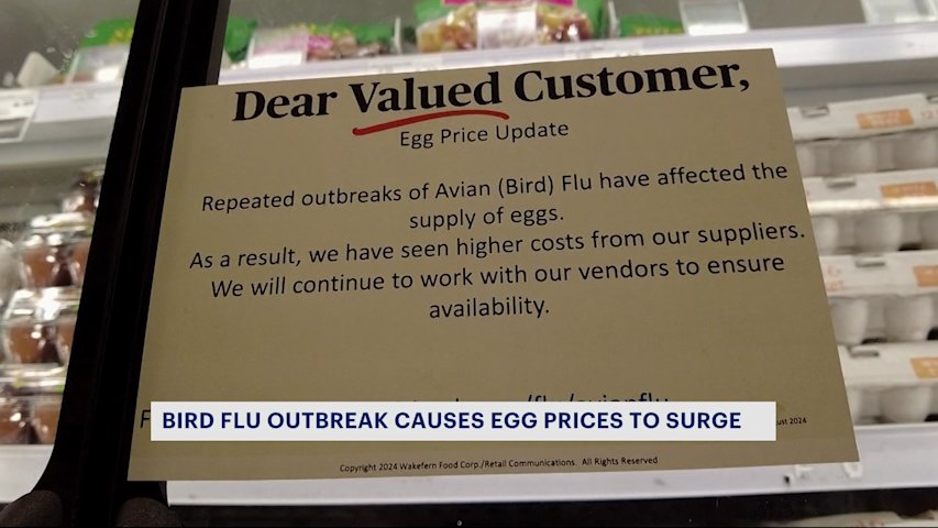 New York City shoppers call price of eggs 'ridiculous' amid rising prices
