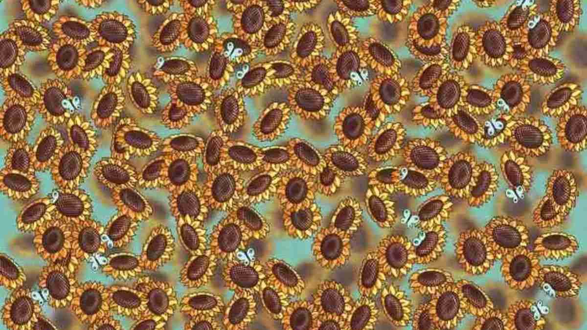 Optical Illusion IQ Test: Only 1% With Keen Vision Can Spot The Hidden ...