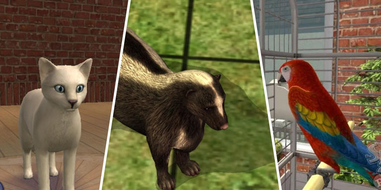 The Best Pet Types In The Sims 2