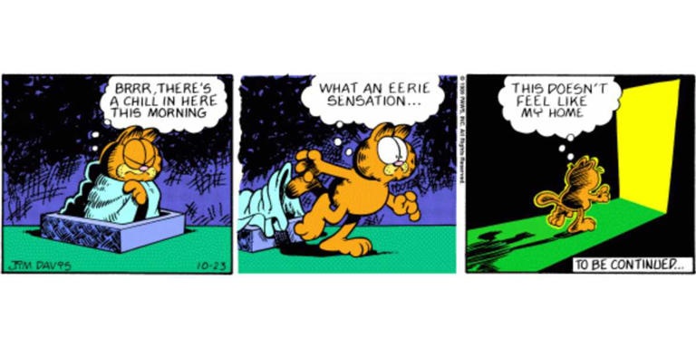 20 Things You Didn't Know About the Garfield Comic Strips