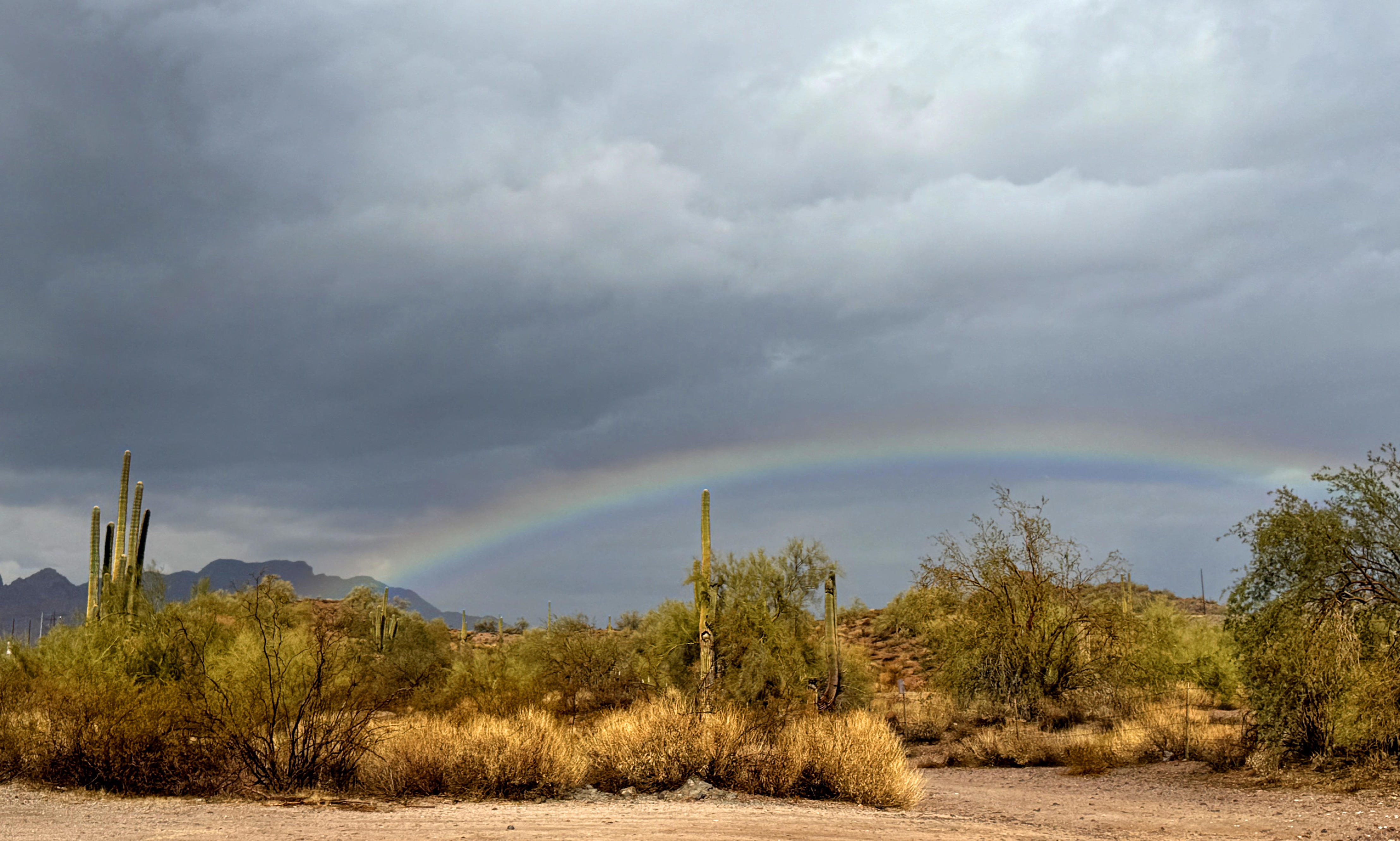 ‘We’re running out of time’: Arizona wildfires persist as monsoon falters