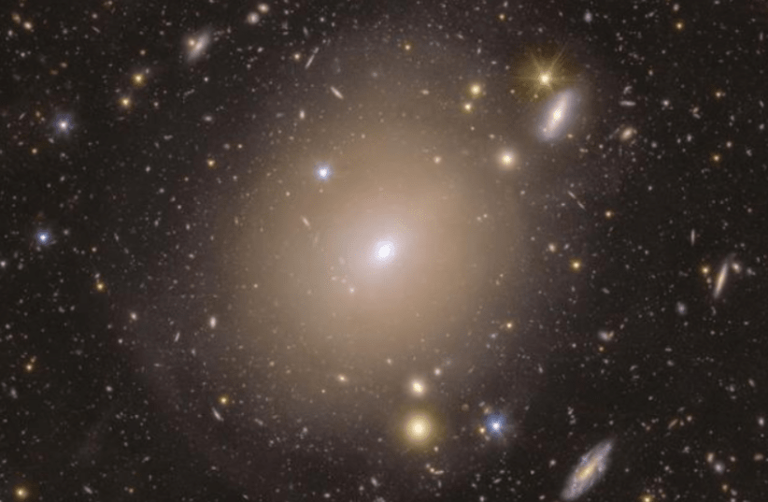 Euclid telescope discovers rare Einstein ring around nearby galaxy NGC 6505