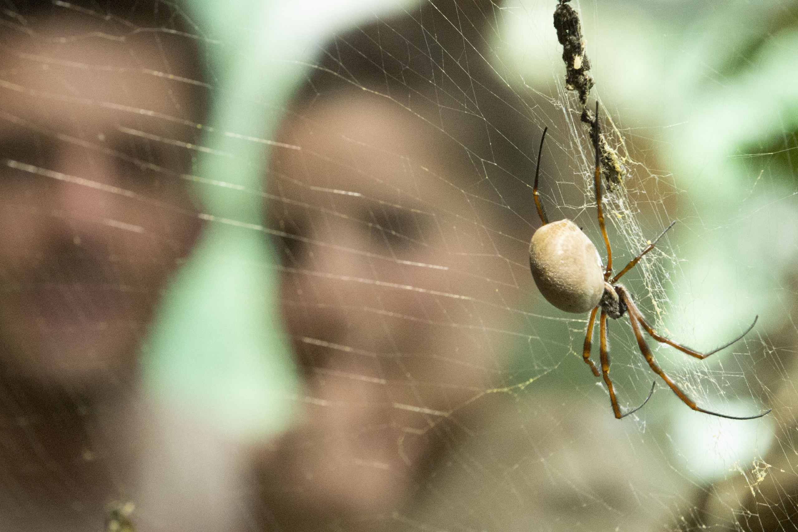 Why are some people afraid of animals?