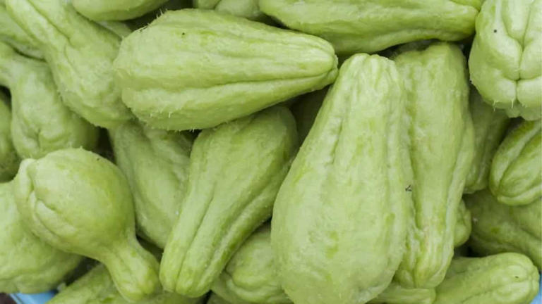 How To Grow Chayote Squash From Seeds In Your Kitchen Garden