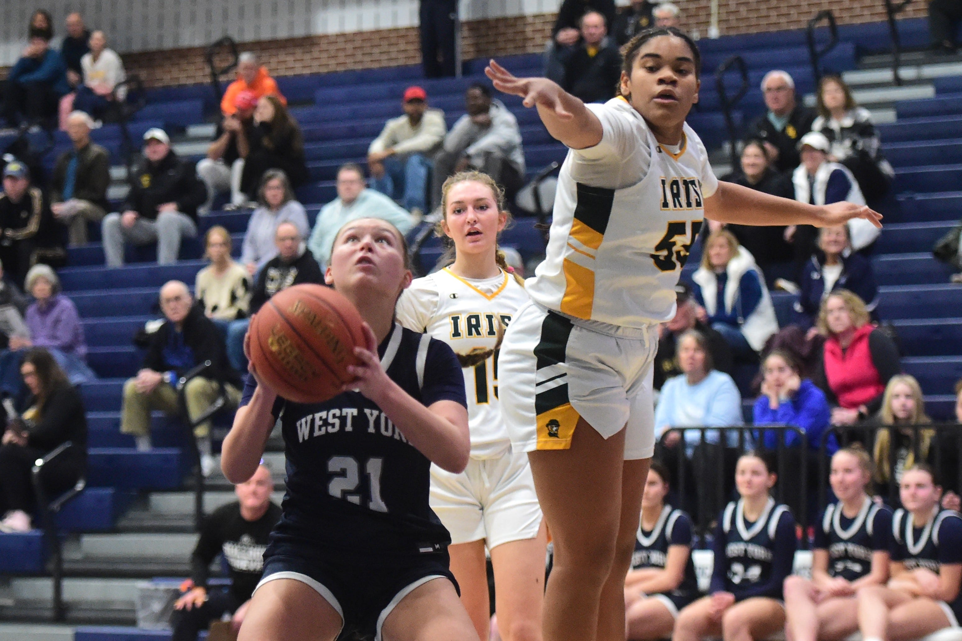 YAIAA coaches announce 2024-25 girls basketball all-stars across 3 ...