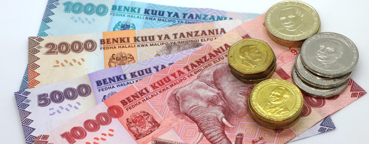 Tanzania Roundup: Shilling performance, archaeological findings, marine ...