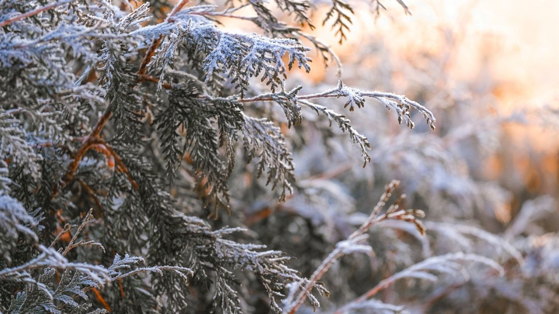 Nawet - 31 stopni Celsjusza w tej części Europy. Sroga zima sięgnie też ...