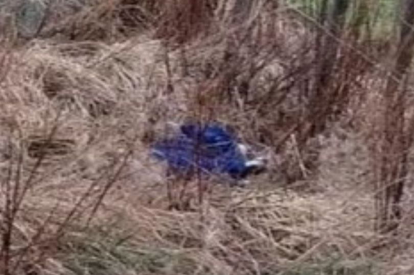 Medic claims Lucy Letby hospital 'would be shut down' if it was in Canada