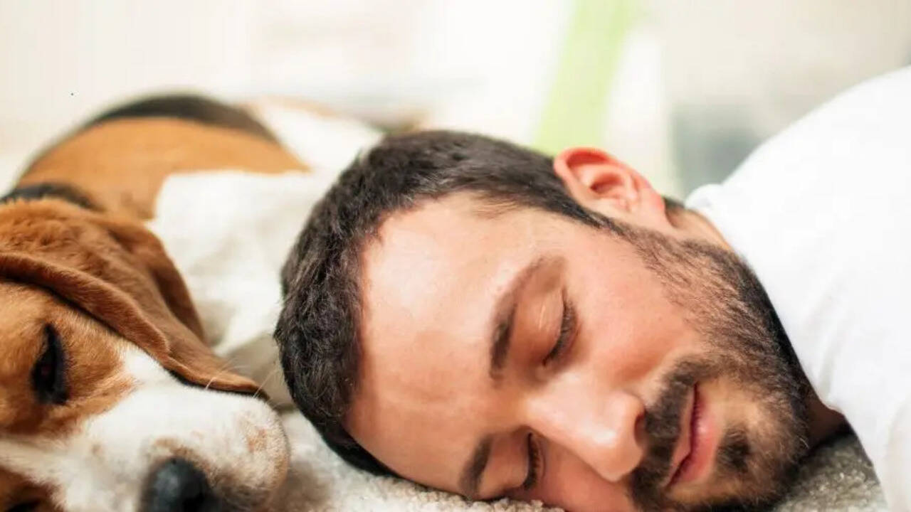 Naps Can Lead To Bigger Brains—But Only If You Rest For 30 Minutes Or Less