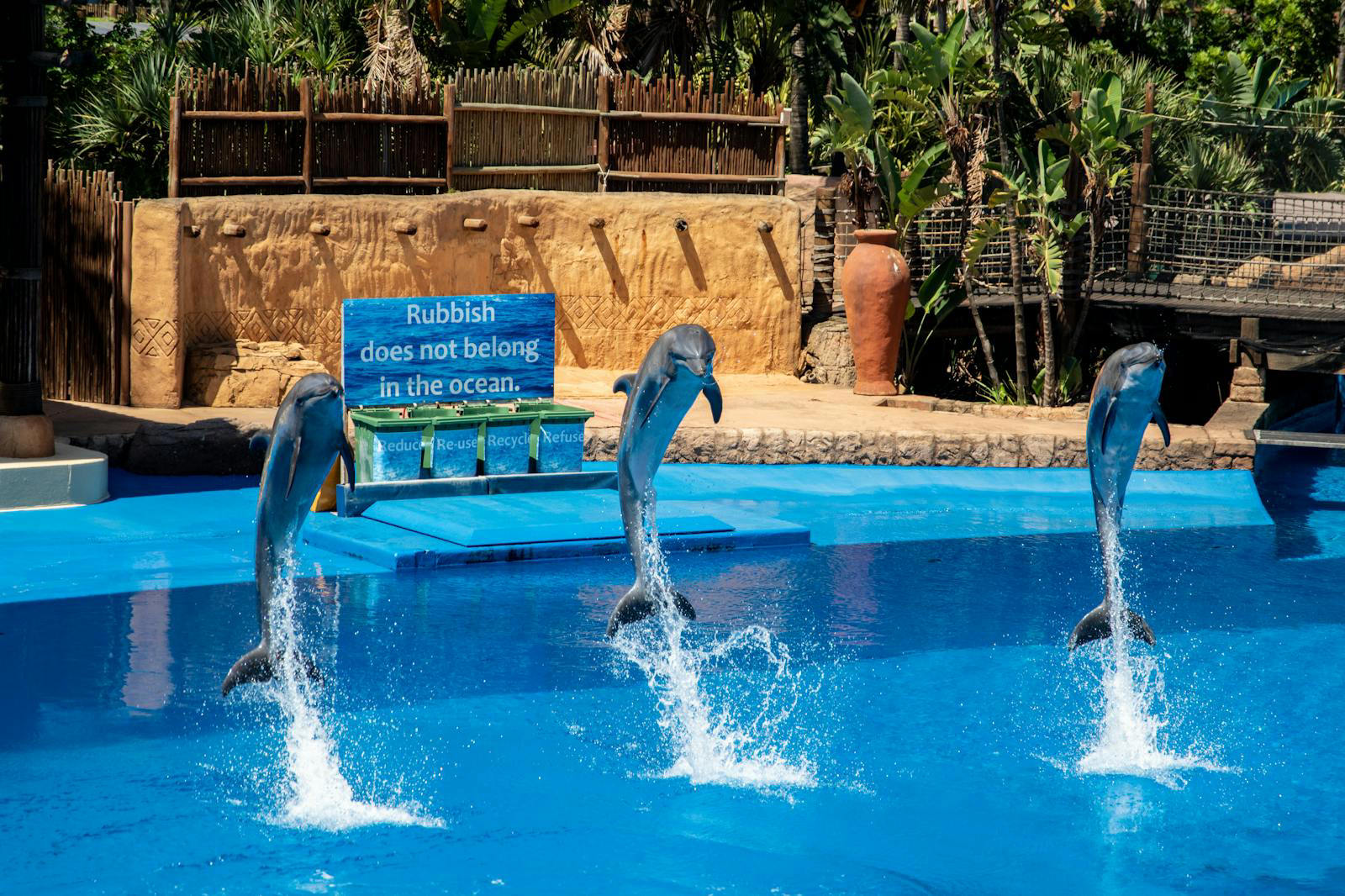 The Dark Side of Animal Tourism: Protecting Wildlife from Harmful Practices The Dark Side of Animal Tourism: Protecting Wildlife from Harmful Practices