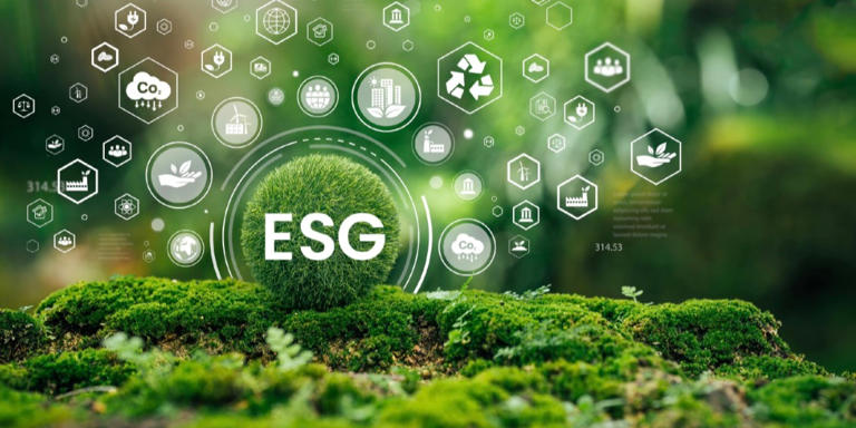 Star Trek's Shadiest Organization Has an Important Canon Connection to ...