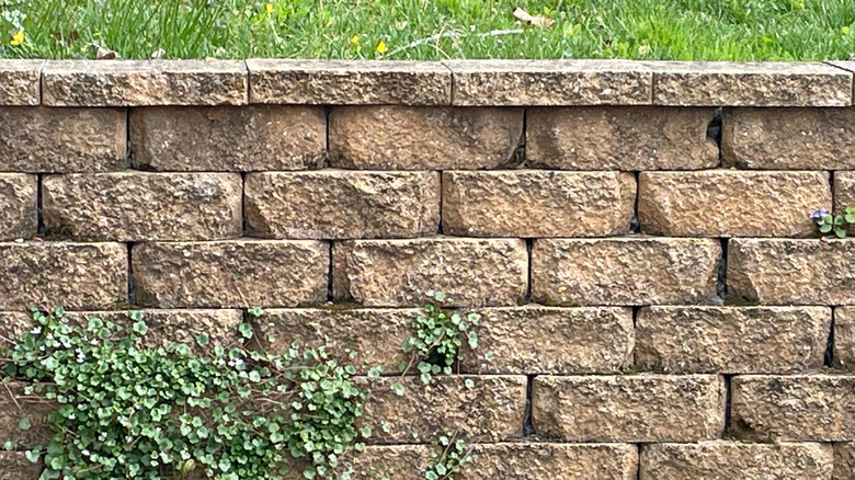 How To Build A Stackable Retaining Wall For Your Garden