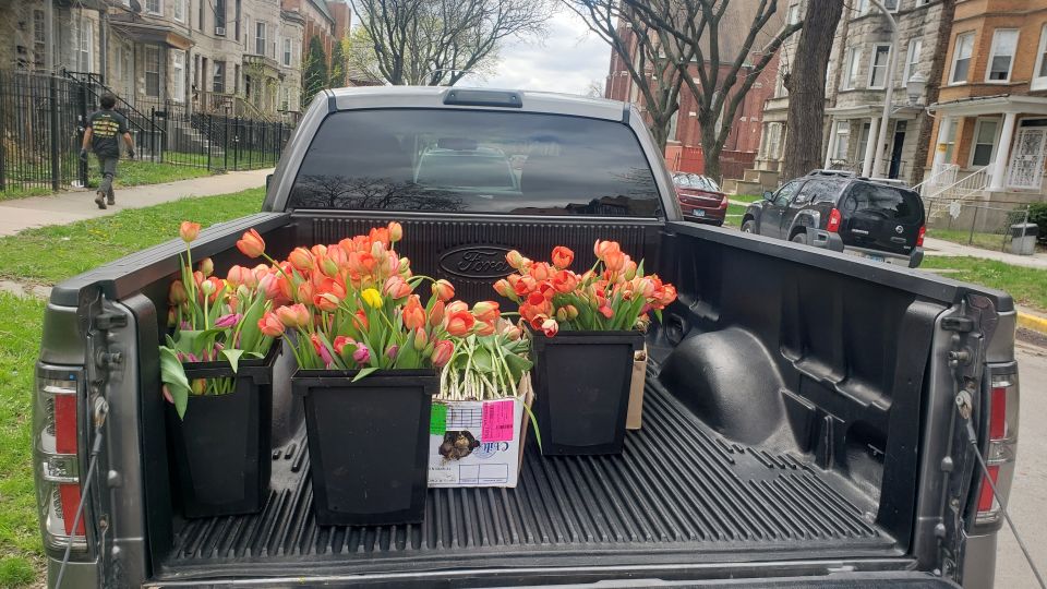 Go green this Valentine’s Day with flowers that help at-risk youth