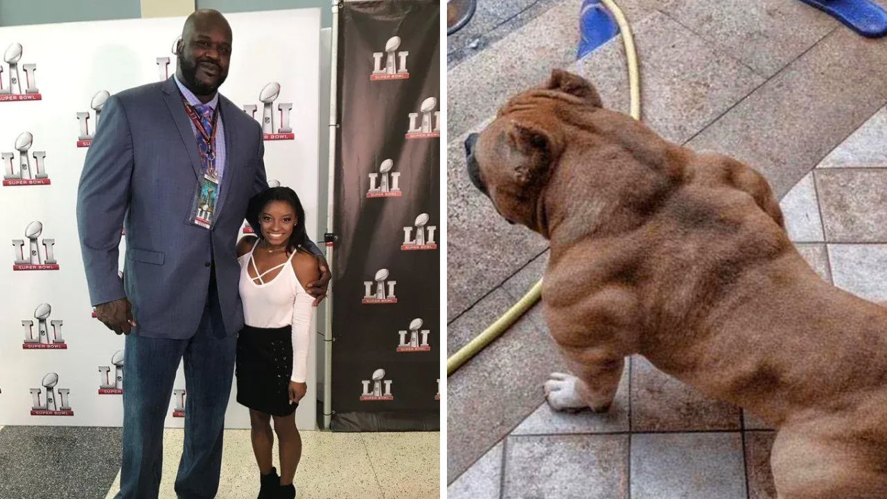 Putting Things Into Perspective: Take a Look at These 20+ Giant Things & People