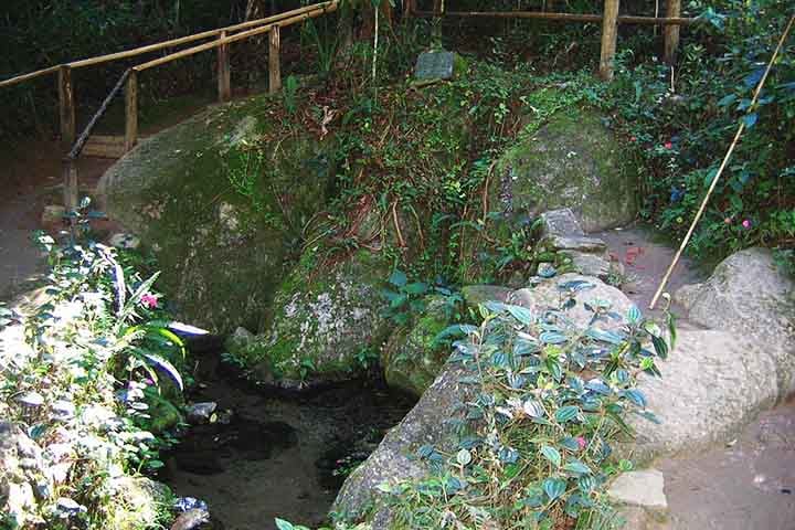 Curiosidades do Rio Tietê que poucos sabem