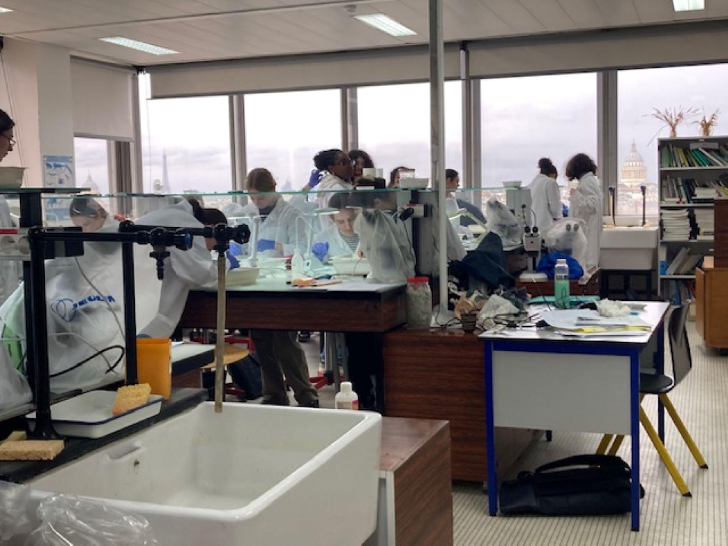 En prépa au lycée Pierre Gilles de Gennes à Paris, « les moyens ...