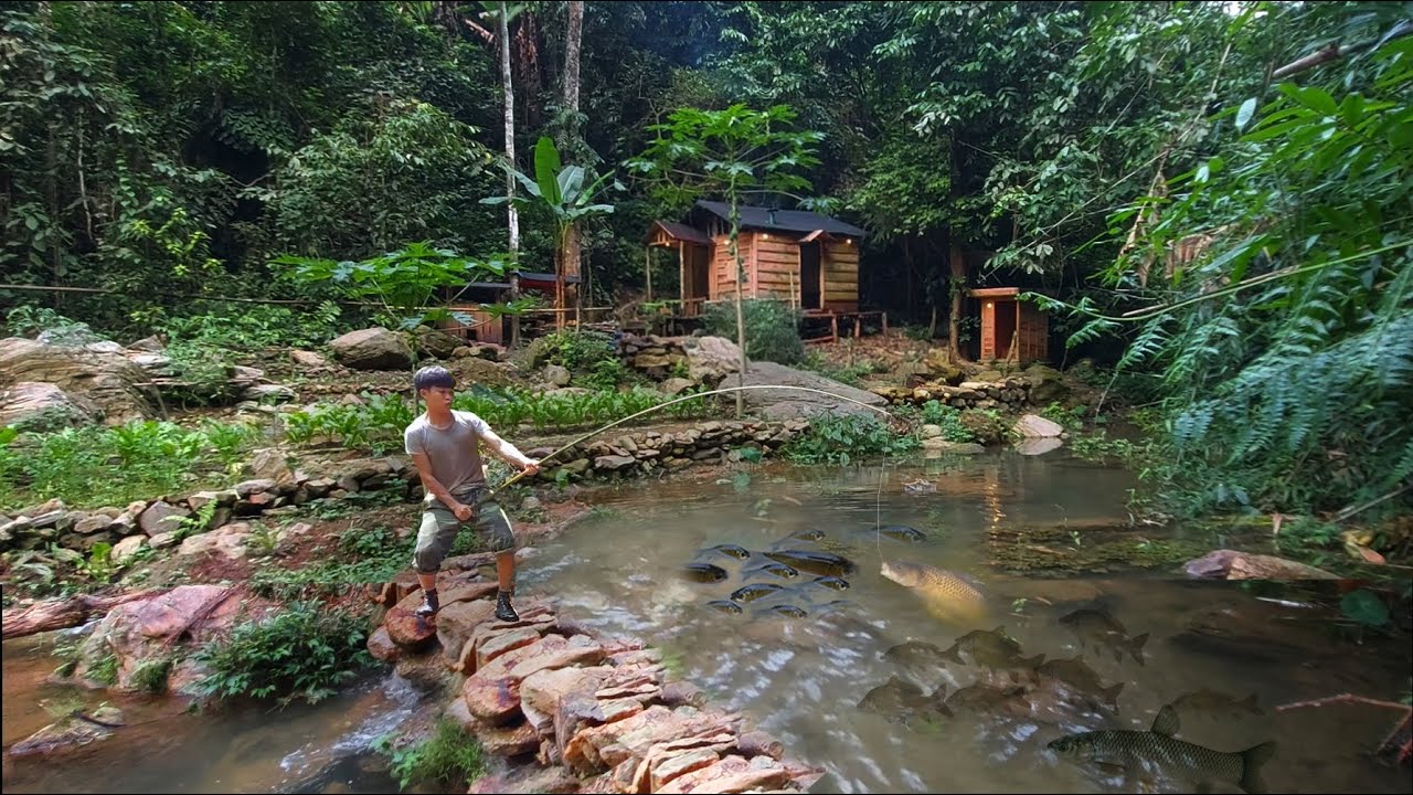 Building a Pond in the Forest: 2 Years of Work and Fish Harvesting! 🌿🐟