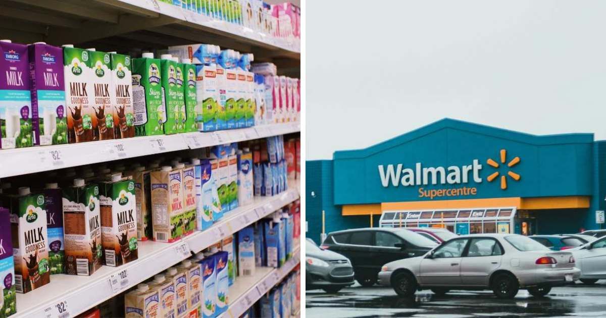 Dairy Farmer Reveals Why Walmart Great Value Milk Is Cheaper Than Other ...