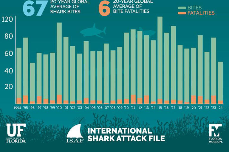 Shark attacks see four killed and 47 injured as beasts worldwide 2024 ...