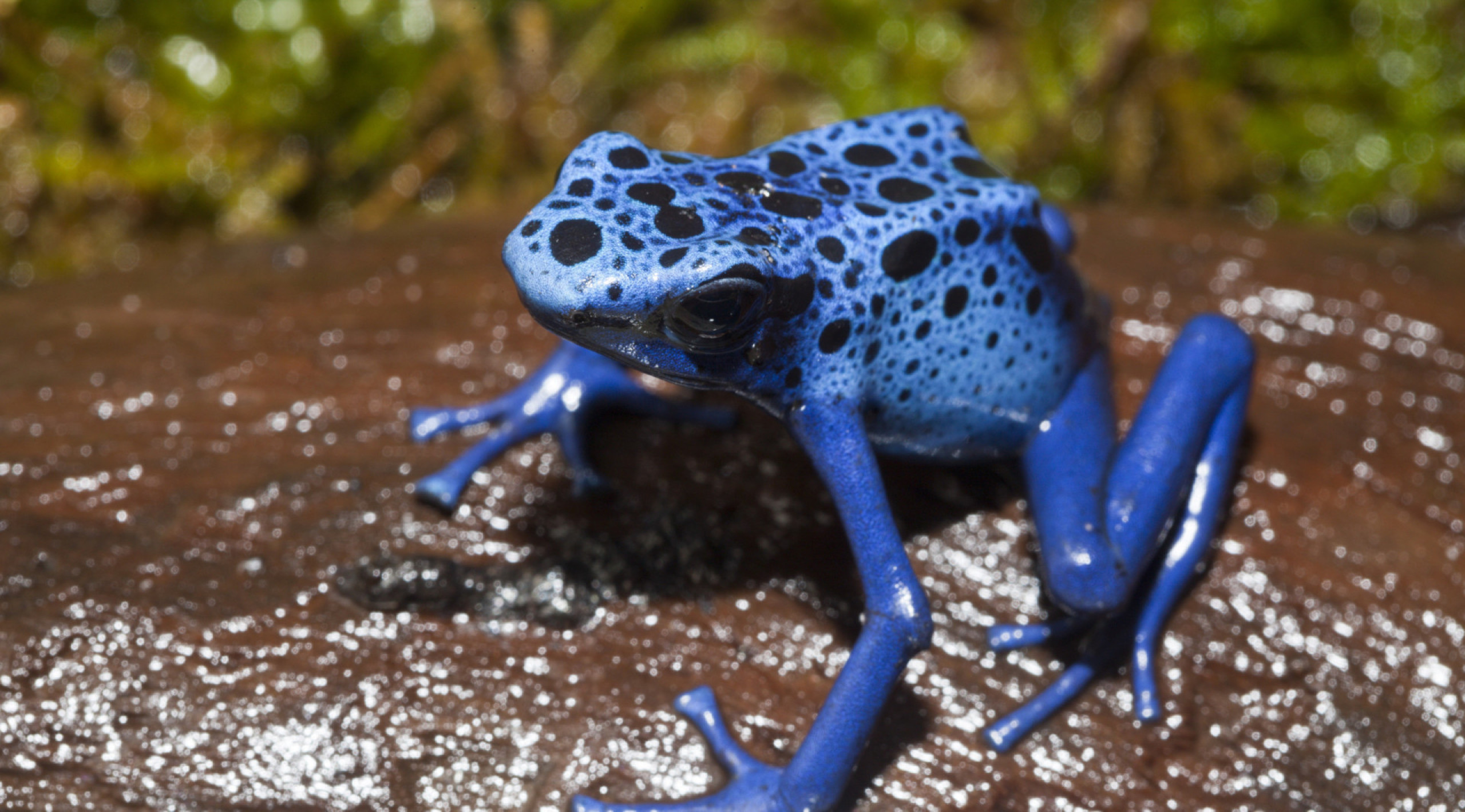 Dangerous poisons that could kill you right now