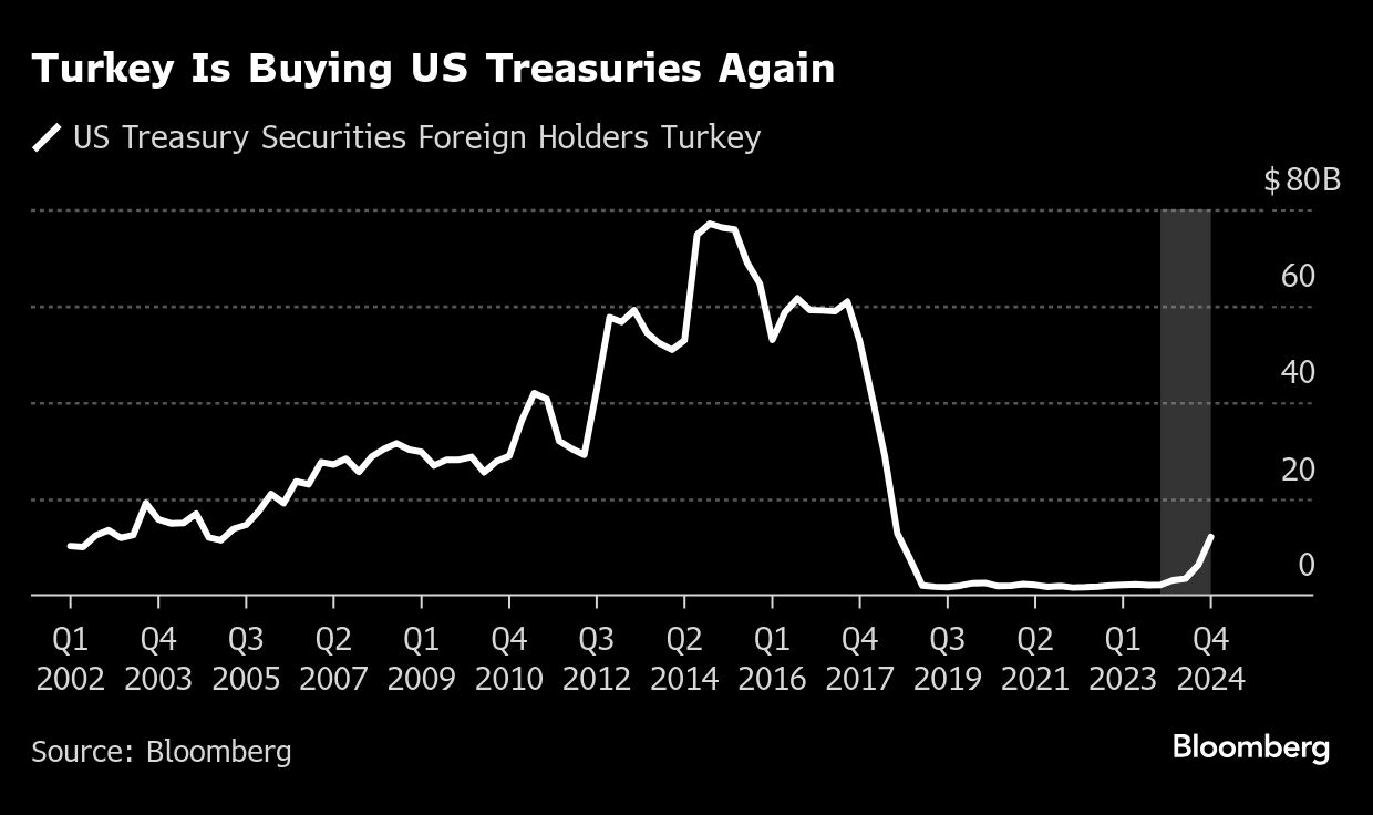 Turkey Revives US Debt Purchases After Decade-Long Hiatus
