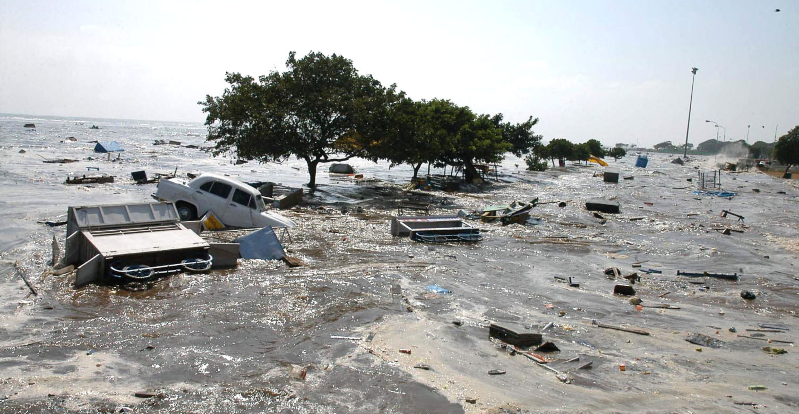 Experts predict a tsunami in Europe with 100% probability