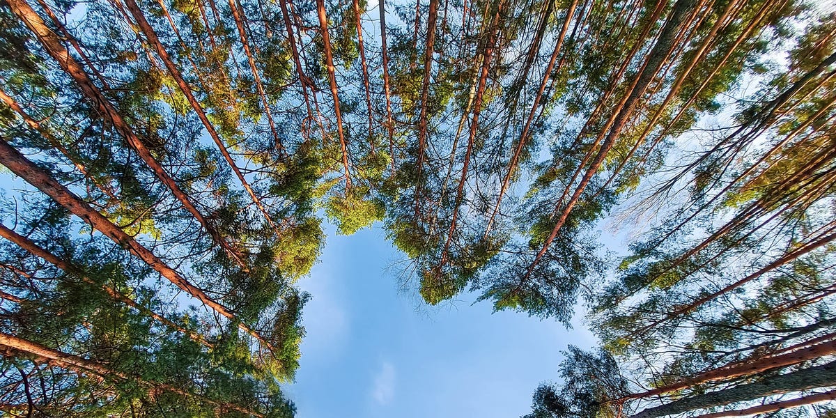 99 Valentine's Day messages to write in a card