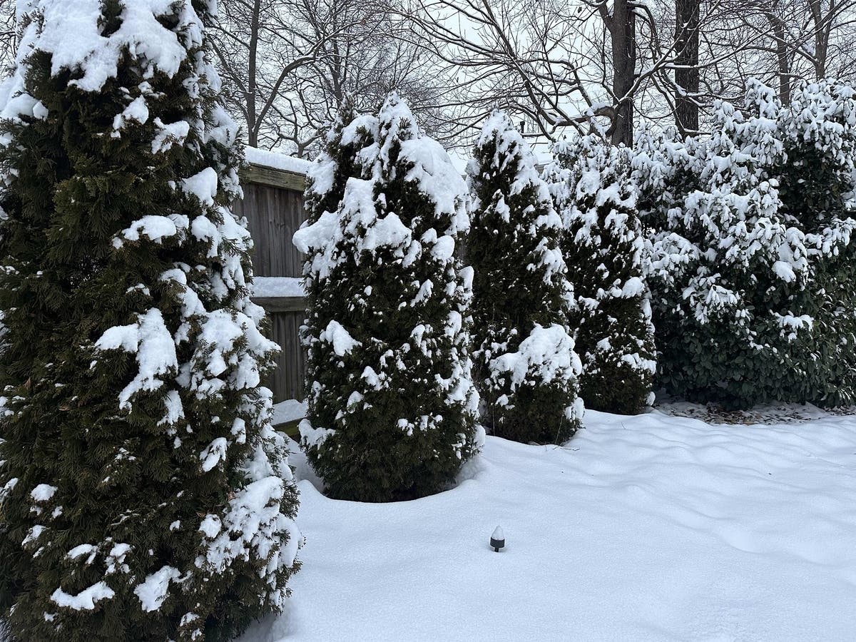 Heavy Snow Approaches MD: Latest Storm Timeline