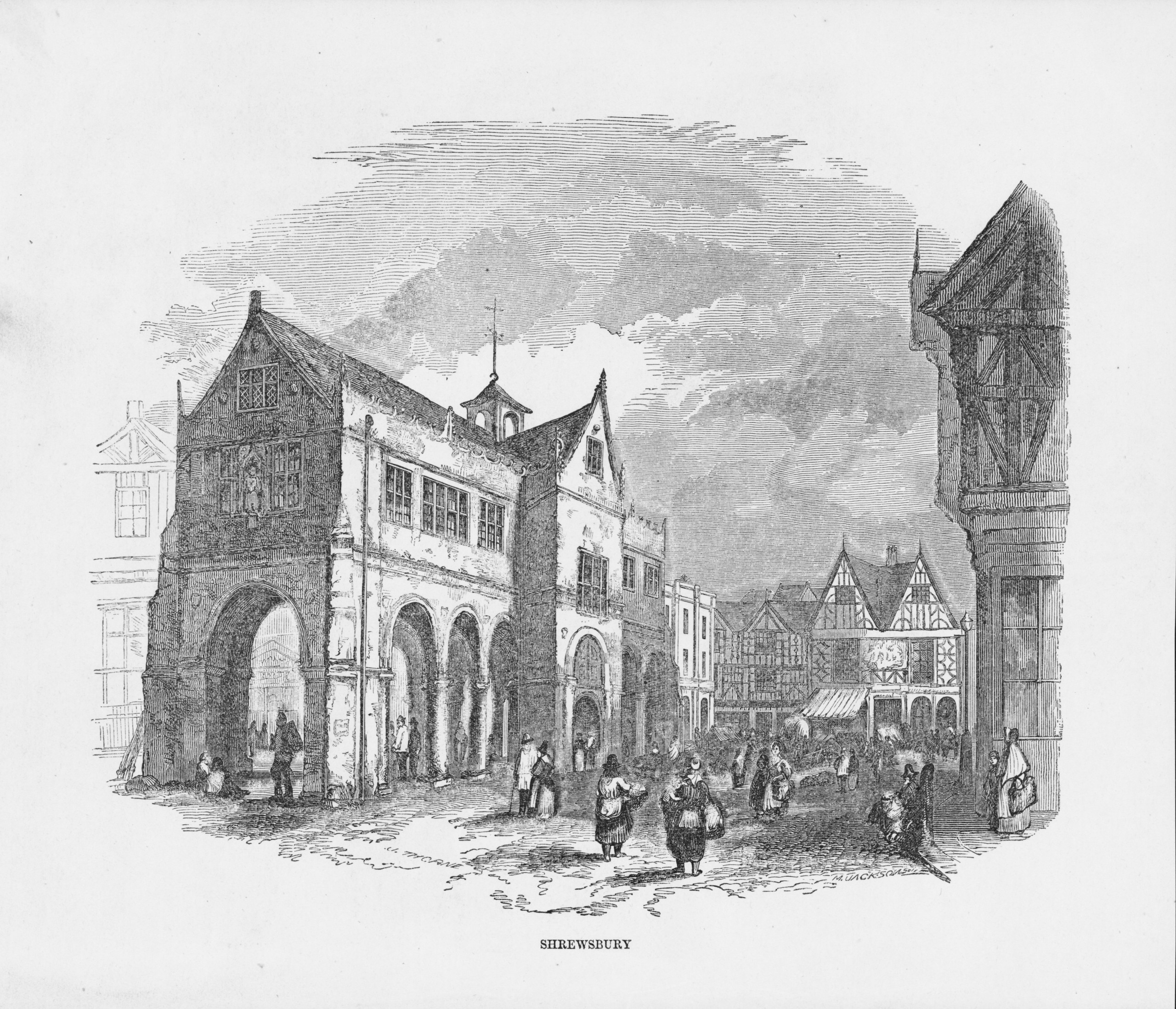 The evolutionary life of Charles Darwin