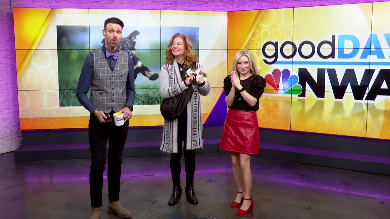 From Potty Training to Socialization, How to Care for Your Pup