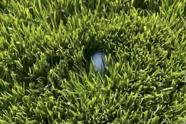 The Torrey Pines rough looks downright sinister ahead of this week’s ...