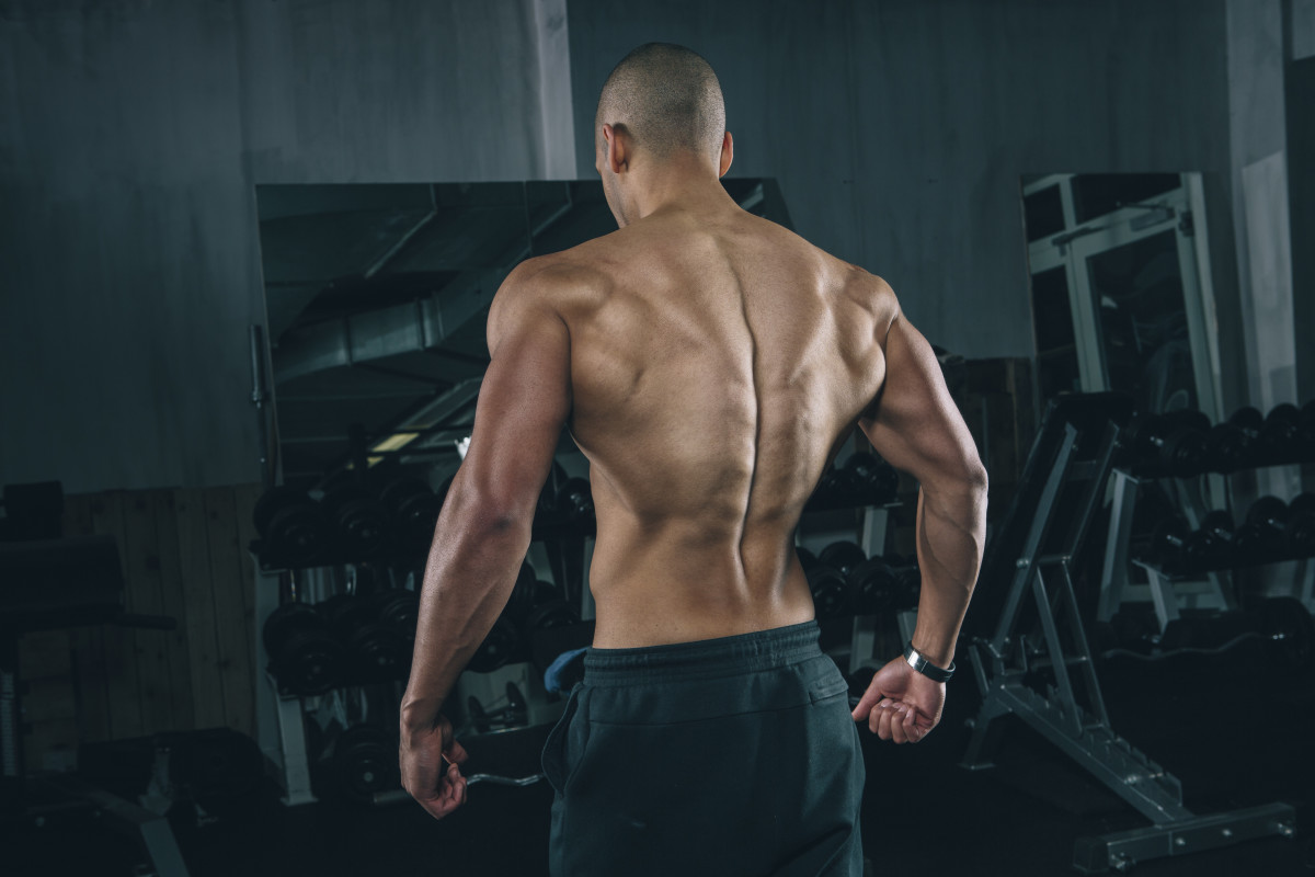 Exercise Scientist: This Lower Back Workout Eliminates Pain and Builds ...