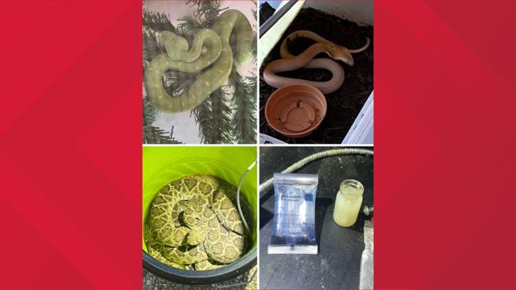 Milam County man arrested for meth, illegal snake possession near ...