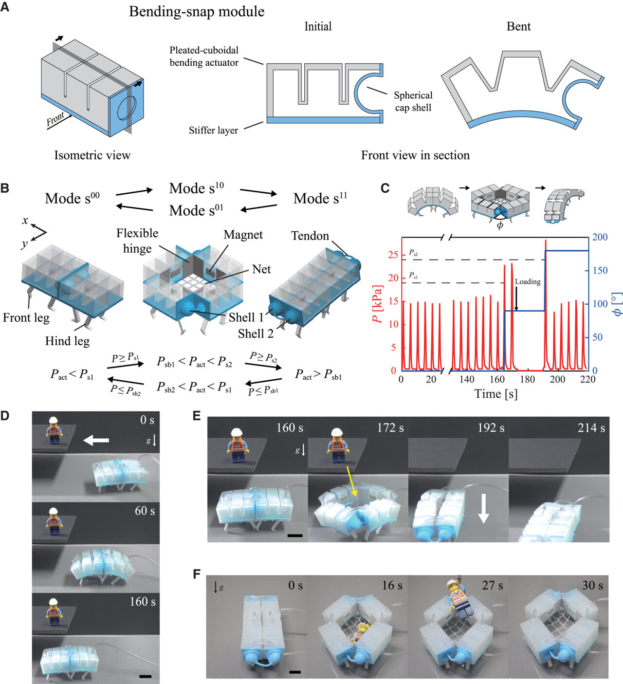 Engineers develop soft robot that crawls, climbs, and shape-shifts to ...