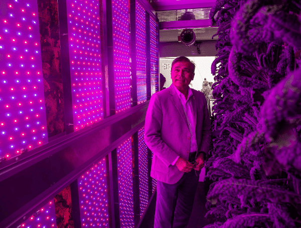 Trust In Scientific Experts Key To Public Support For AI In Agriculture ...