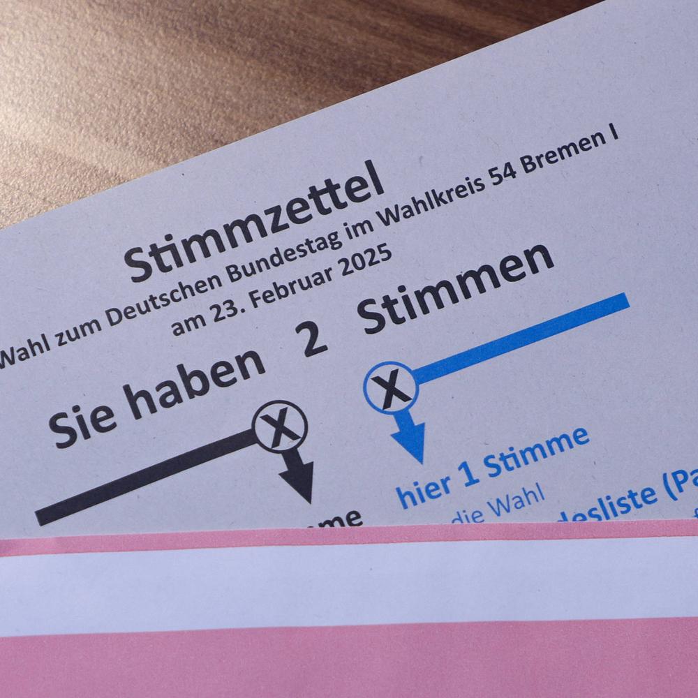 „Auslandsdeutsche vom Wahlrecht ausgeschlossen“: Juristen sehen ...