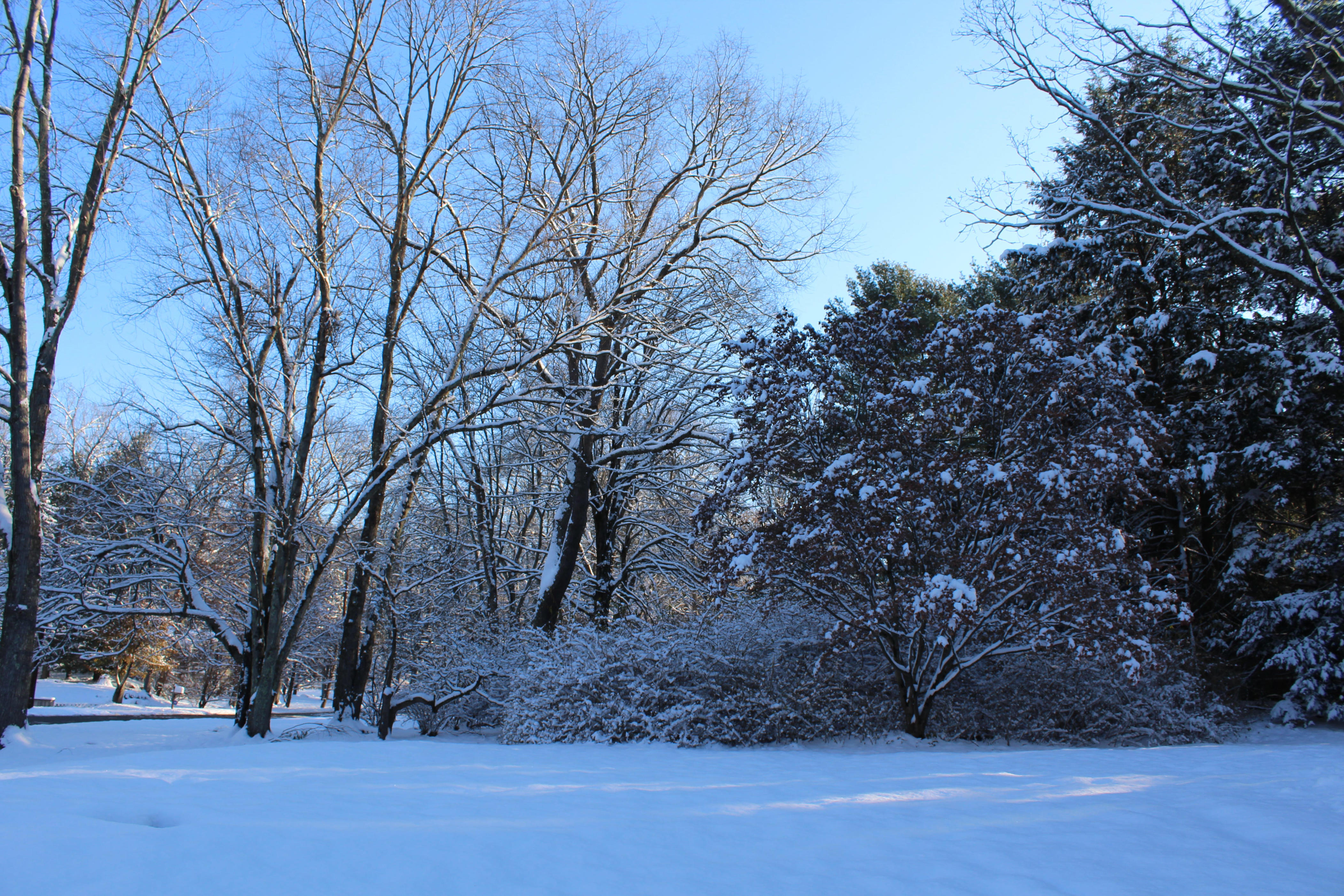 CT snowman depicting swastika and Adolf Hitler under investigation