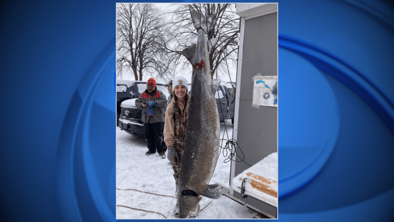Wisconsin woman makes state history catching fourth largest sturgeon ...