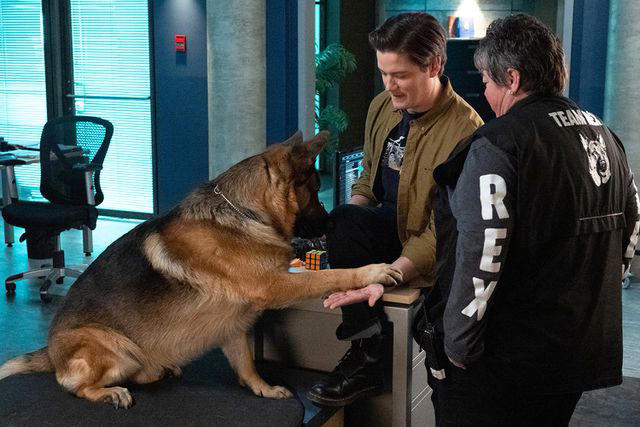 “Hudson & Rex ”Trainer Confirms Show's Beloved Dog Star Is Dead, New ...