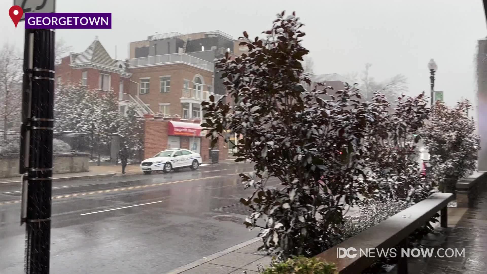 Snow begins sticking to trees in Georgetown